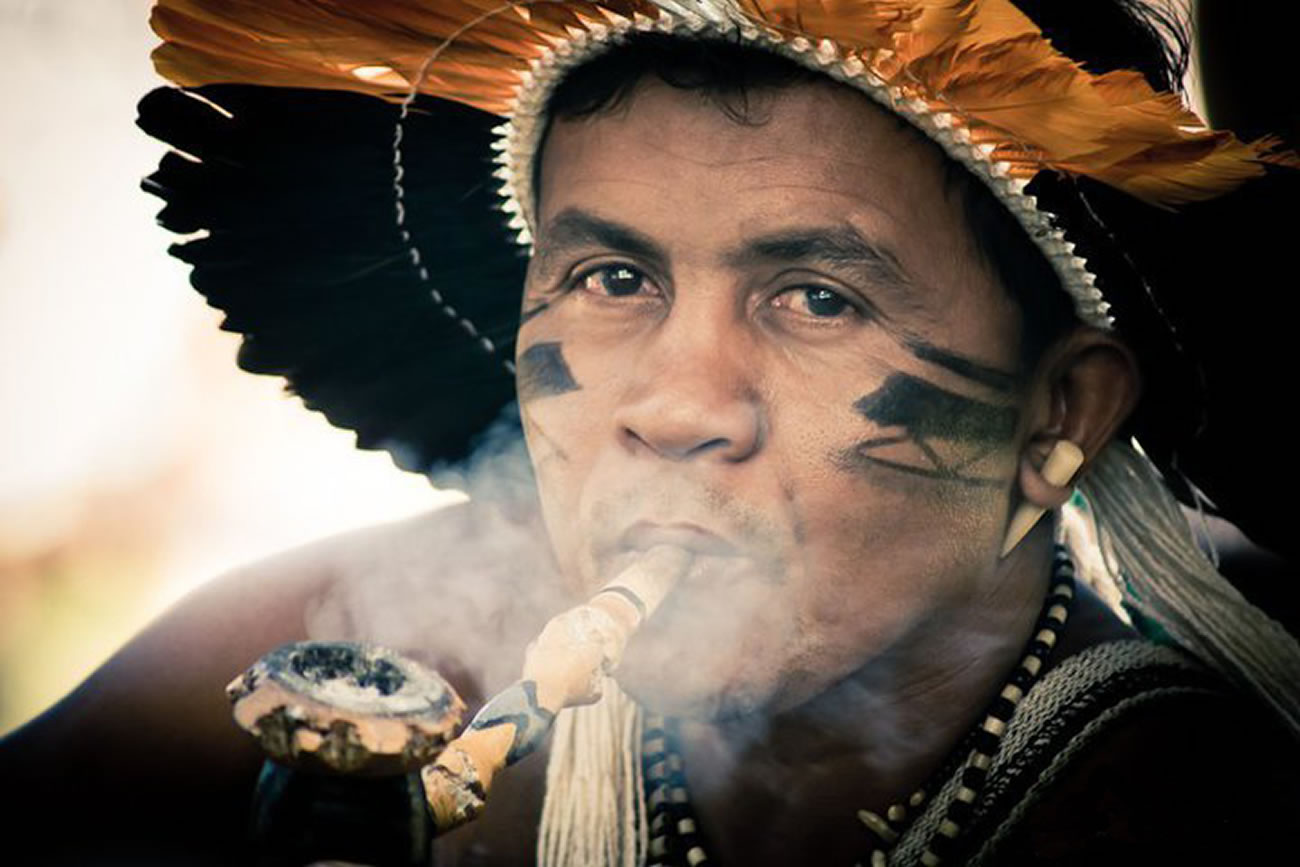 Chamanismo y plantas sagradas - ARCHIVOSAGIL