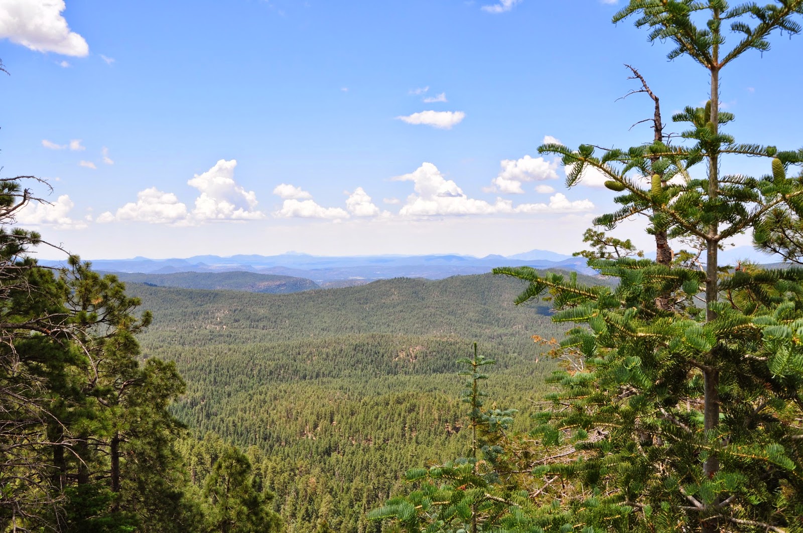 Finding Arizona: The Mogollon Monster