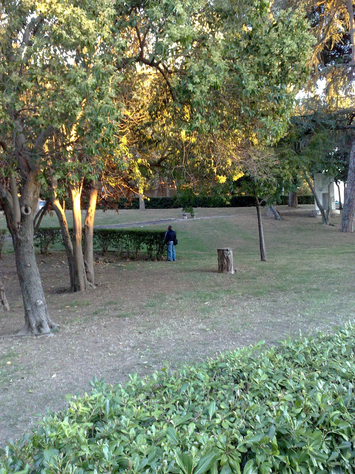 ROMA FA SCHIFO: Quando si dice che i giardini sono un cesso...