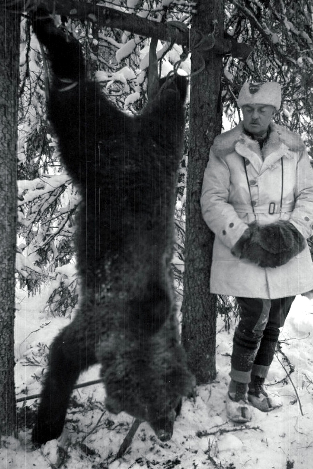 Ritterkreuzträger: Generalmajor Erwin Engelbrecht with a Dead Bear
