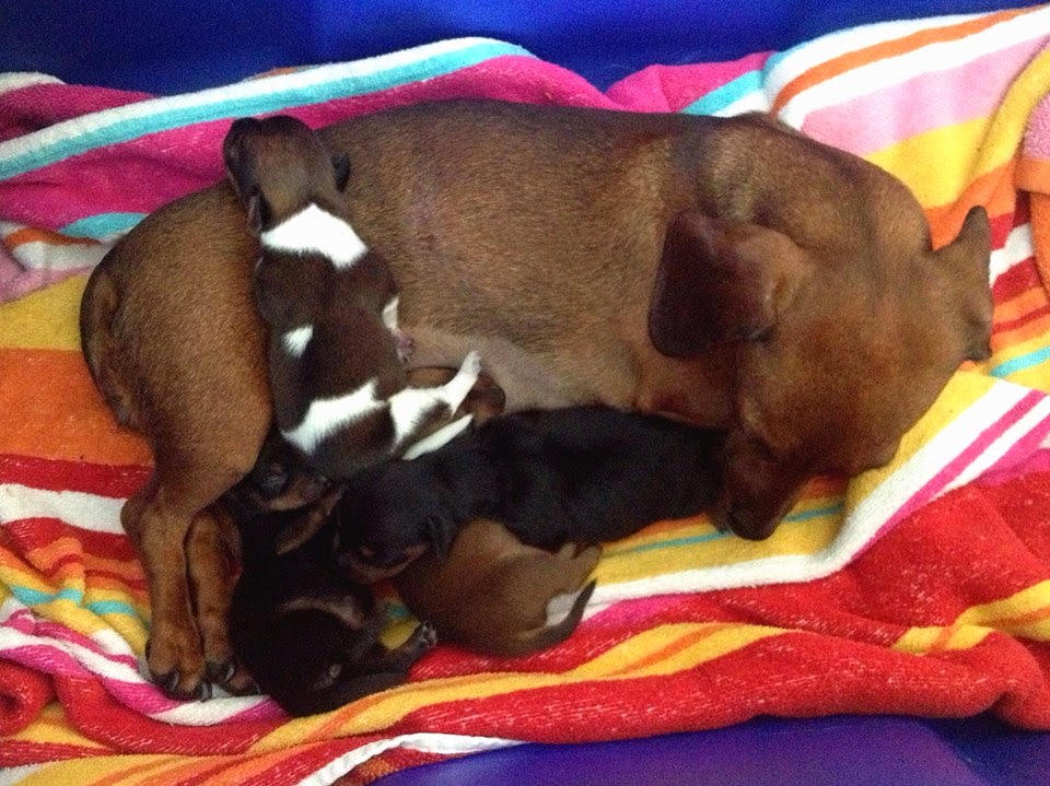 Life Crafts & Whatever: Bueller? Bueller? Is anyone home?