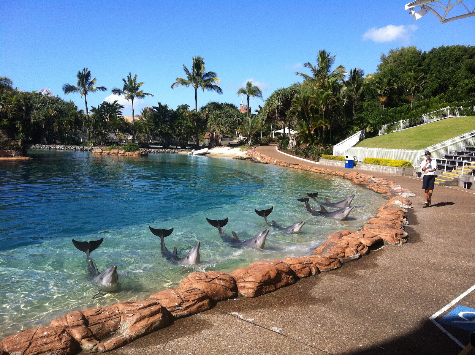 Maid in Australia: Sea World part two - and a giveaway!