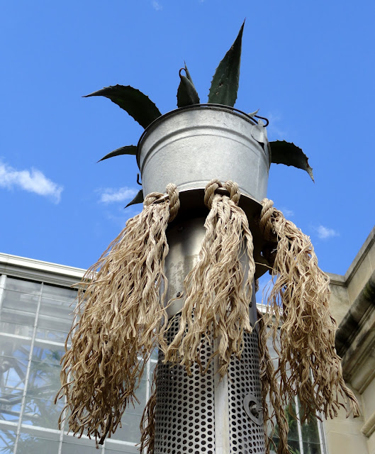 danger garden: Agaves with rope fringe, that's something you don't see ...