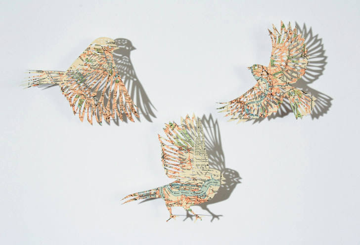 Atlas Cutouts | The Collective Loop