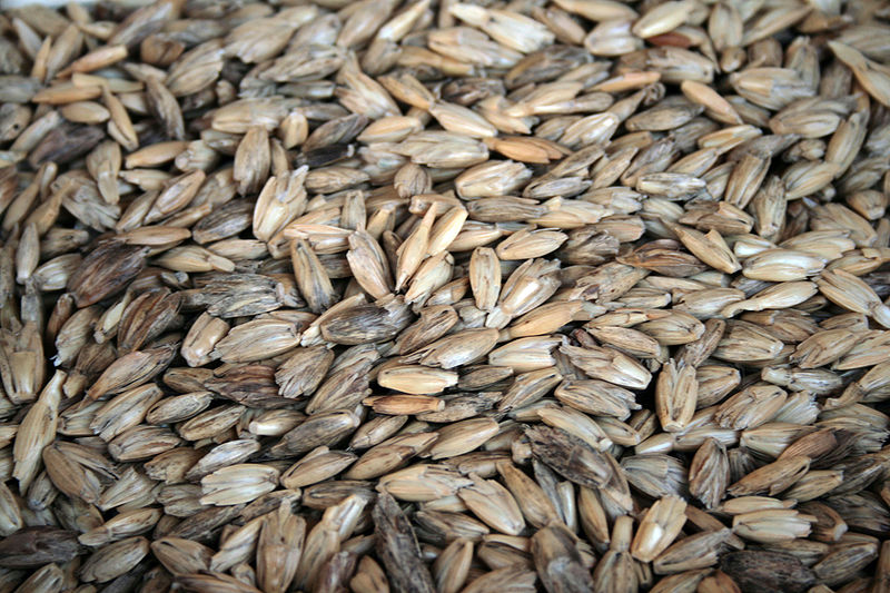 Mitología Asturiana: EL CULTIVO DE LA ESCANDA