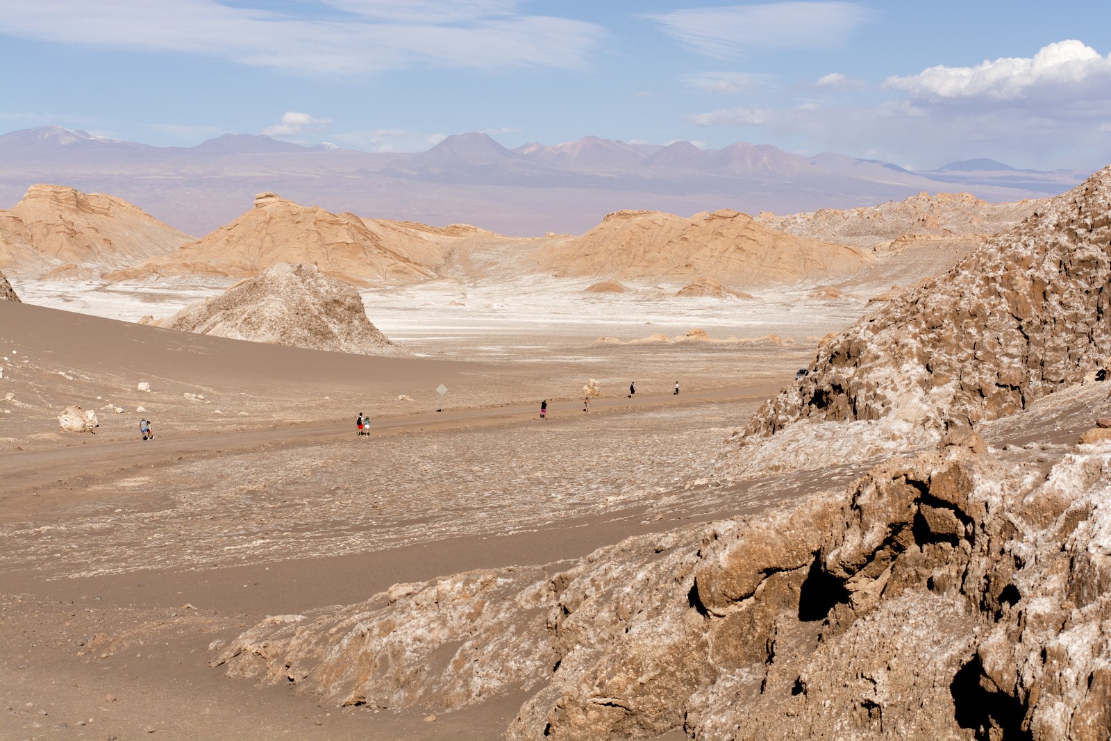 Pustynia Atacama w Chile - jedno z najsuchszych miejsc na Ziemi ~ Kwiat ...
