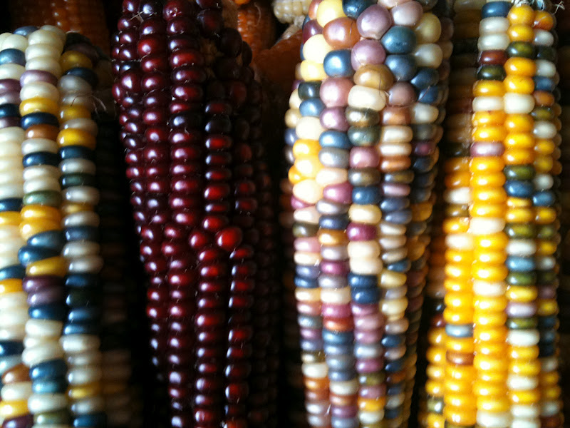 Soul Flower Farm: Flint Corn
