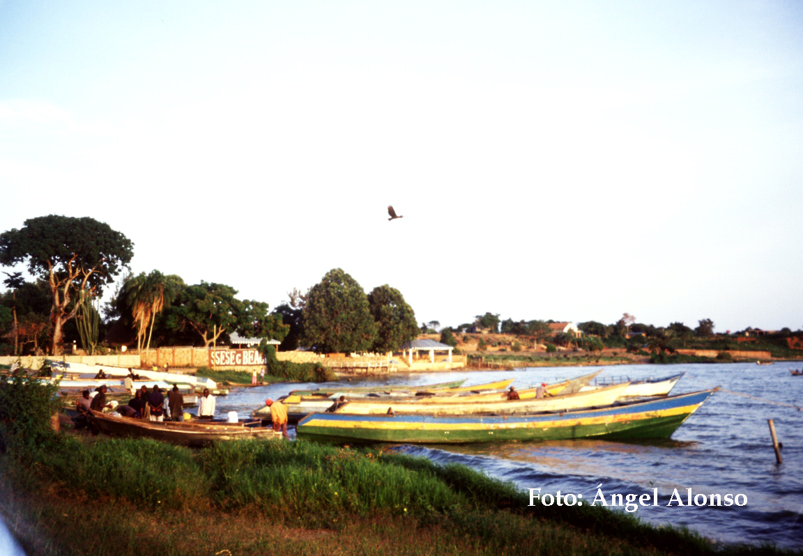 Una Isla al Sur: Lago Victoria, un viaje a las Fuentes del Nilo