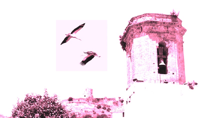 Buceite.com: Noticias de Jimena de la Frontera, San Pablo de Buceite ...