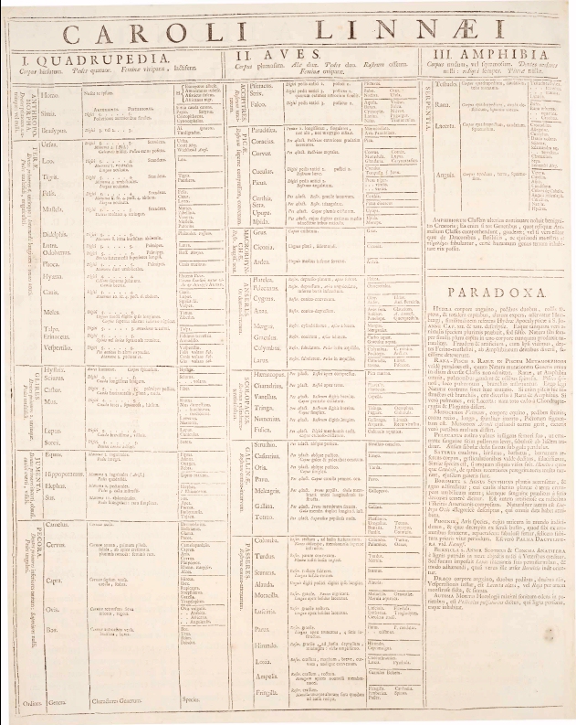 Systema Naturae