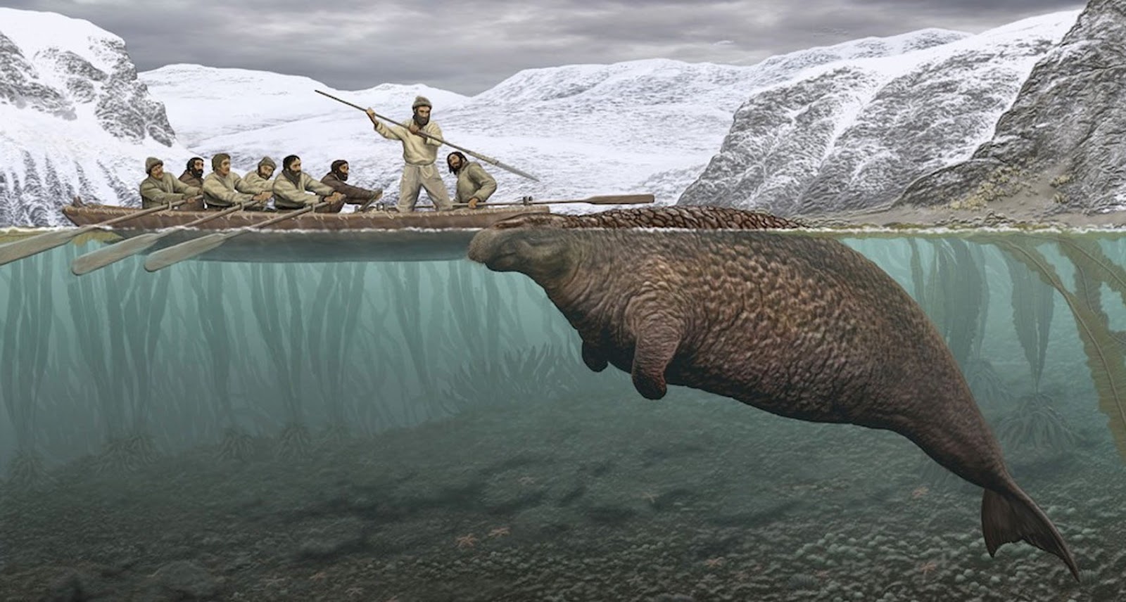 Blog Misteri Tesla: Legenda Steller's Sea Cow (sapi laut steller)