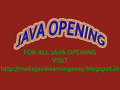 Make Java Easy : Java Opening at Biz4Solutions Pvt Ltd,Pune