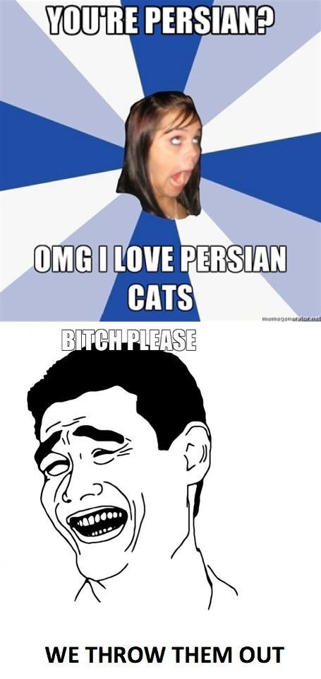 Persian Meme.Com