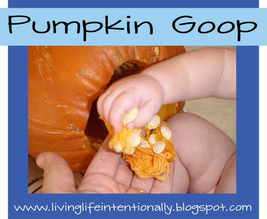 Sensory Bins for Tot, Preschool, and Kindergarten - 123 Homeschool 4 Me