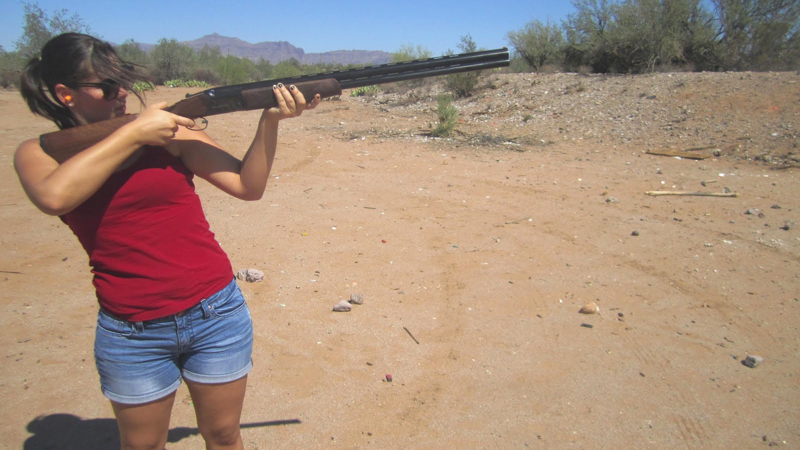 Bob Shell's Blog: Webley & Scott Shotguns