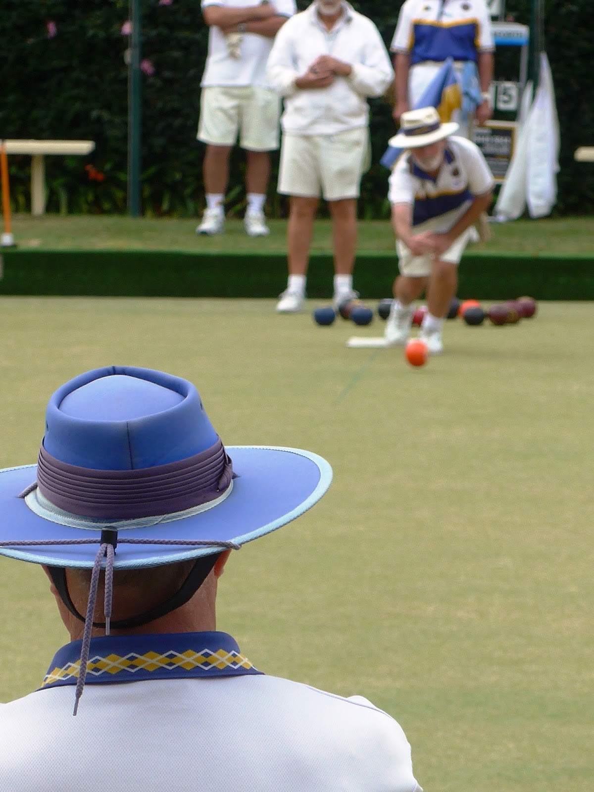 The Greenbowler: The Experiences and Insights of a Lawn Bowler: How ...