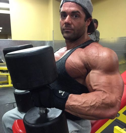 the beauty of male muscle: Michael