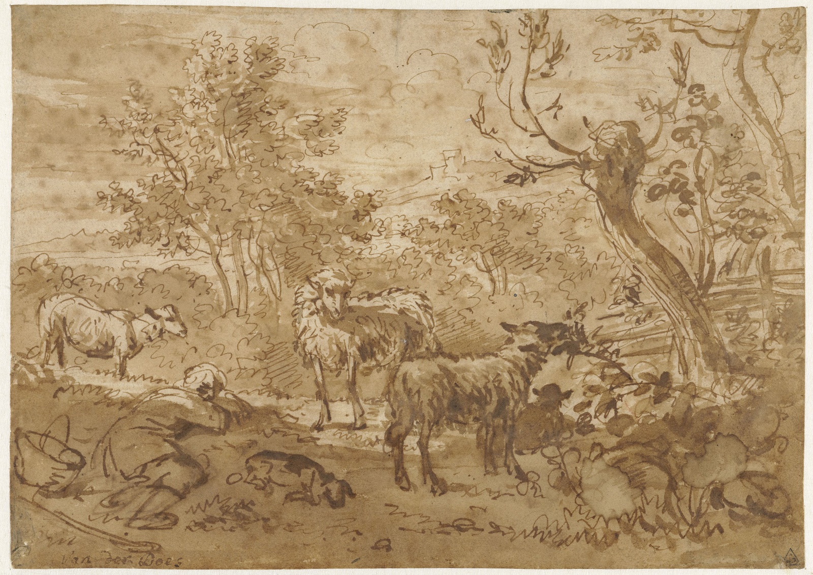 Spencer Alley: Jacob van der Does and Italian Landscapes (with Sheep)