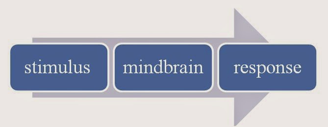 changing minds: The multitasking mindbrain