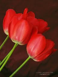 LAKARAN KEHIDUPAN: TULIP