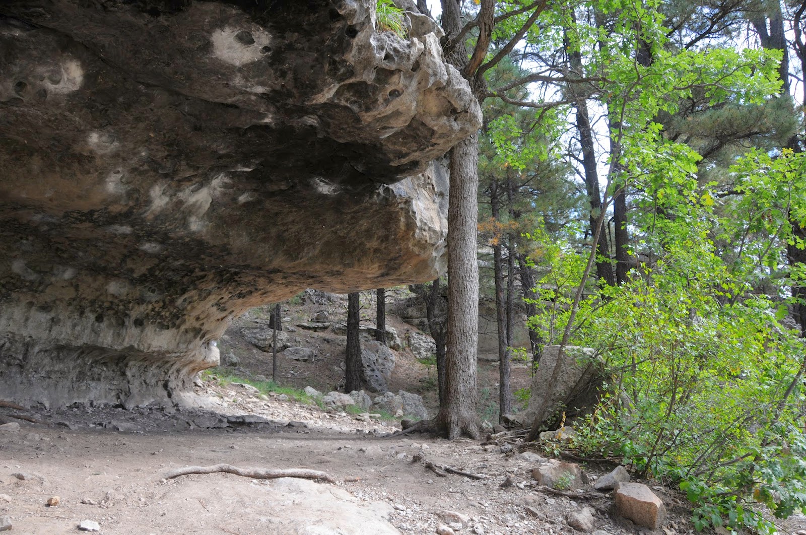 Arizona Hiking: HOWARD DRAW-PRIEST DRAW LOOP