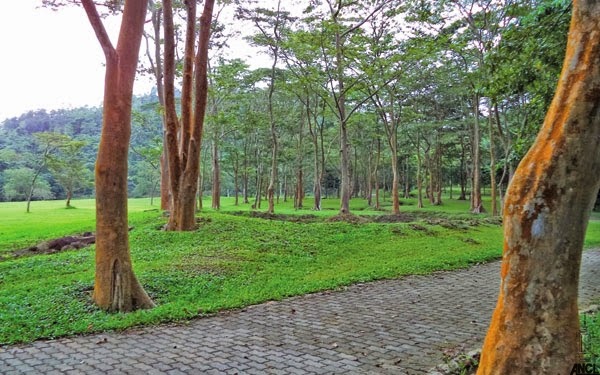 Safari Sri Lanka: Seethawaka Wet Zone Botanical Garden - Avissawella