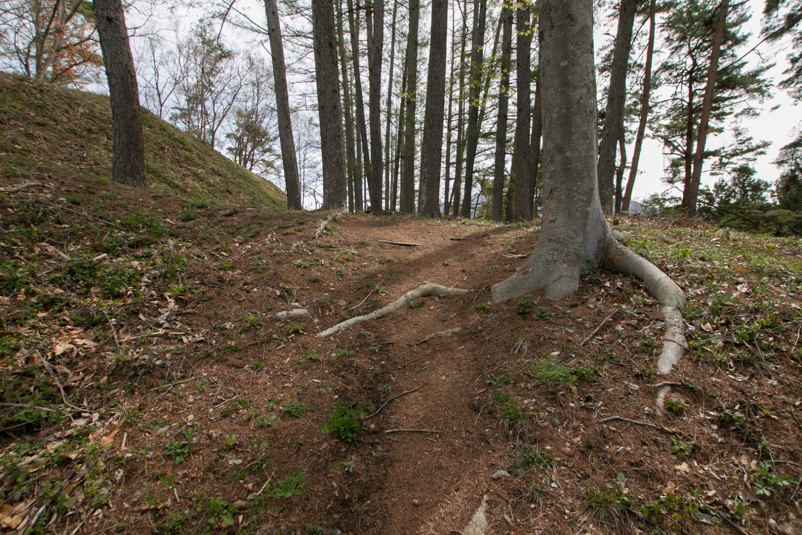 Toishi Castle -Might and plot- | Japan Castle Explorer