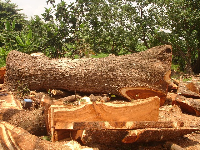 Production Planning: Kayu Rimba Campur / Kayu Keras untuk Furniture