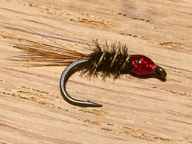 The piscatorial adventures and travels of a self-confessed fishing nut ...