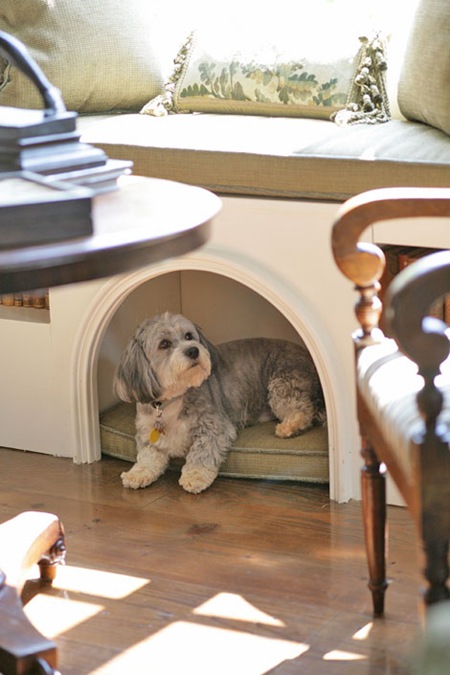 Designs for Daley Living: Dog and Pet Beds....some creative furniture ...