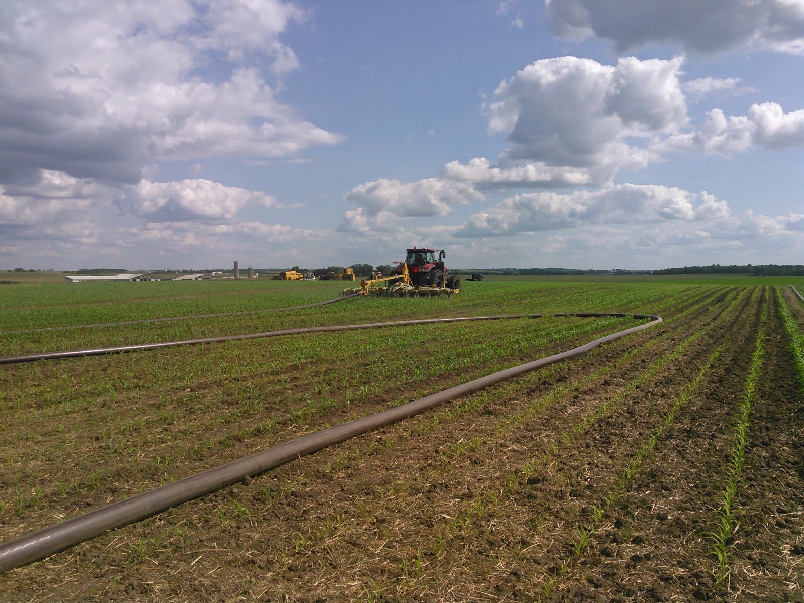 The Manure Scoop: Maximizing Manure Value - Timing and Application ...