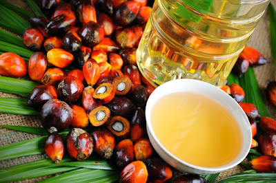 All about Palm Oil: About Palm Oil