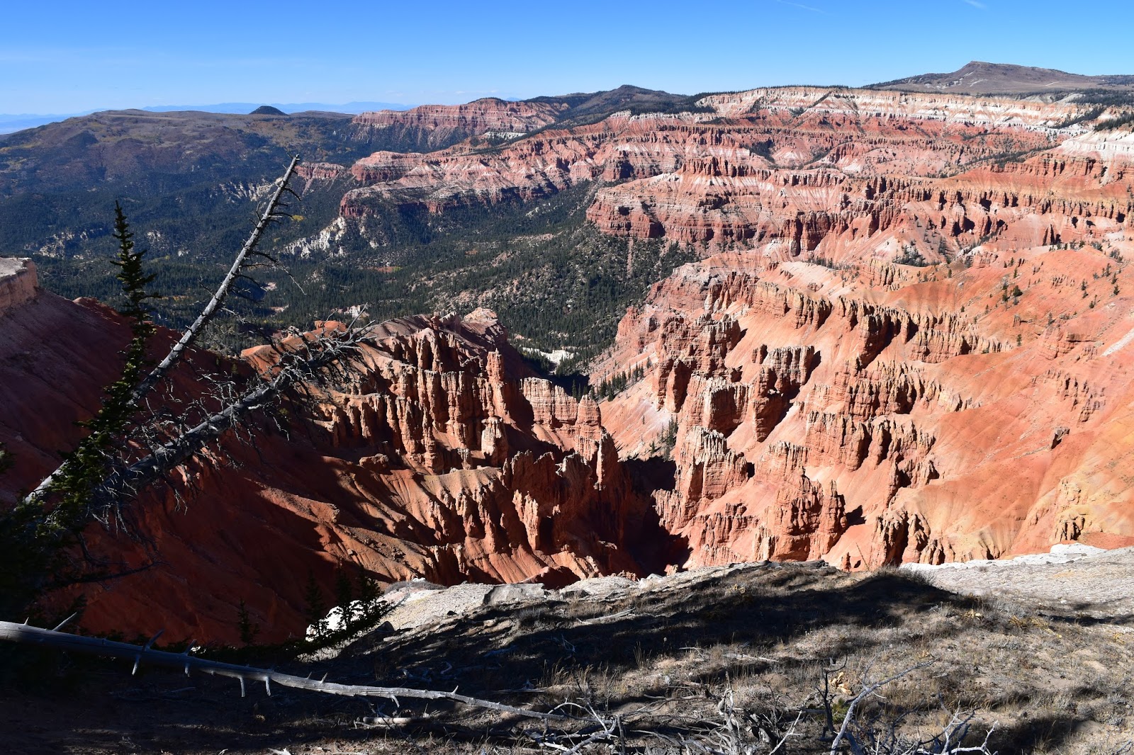 Meandering In My RV: Cedar Breaks National Monument