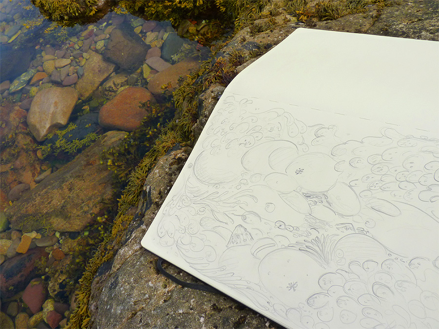 Middle of Nowhere: Rockpool sketching