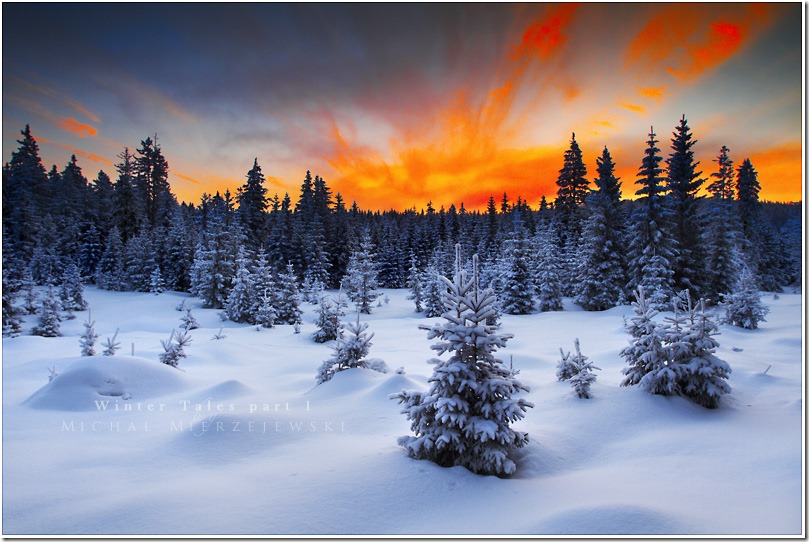 Winter Photography | PHOTOGRAPHY