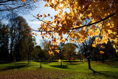 Photo Samples: More Leica X1 Samples - Nov 6/2011