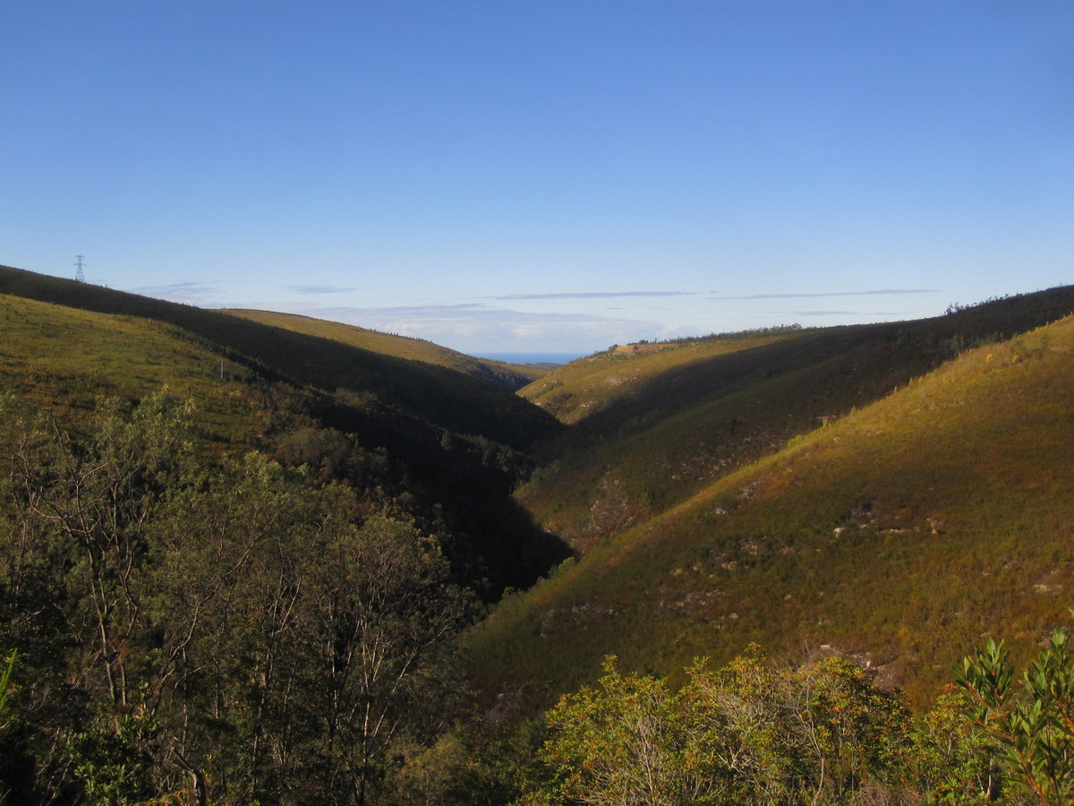Old George Dam Trail Run