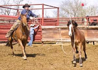THE WESTERNER: Tradition & innovation mix at Vold Rodeo Company to keep ...