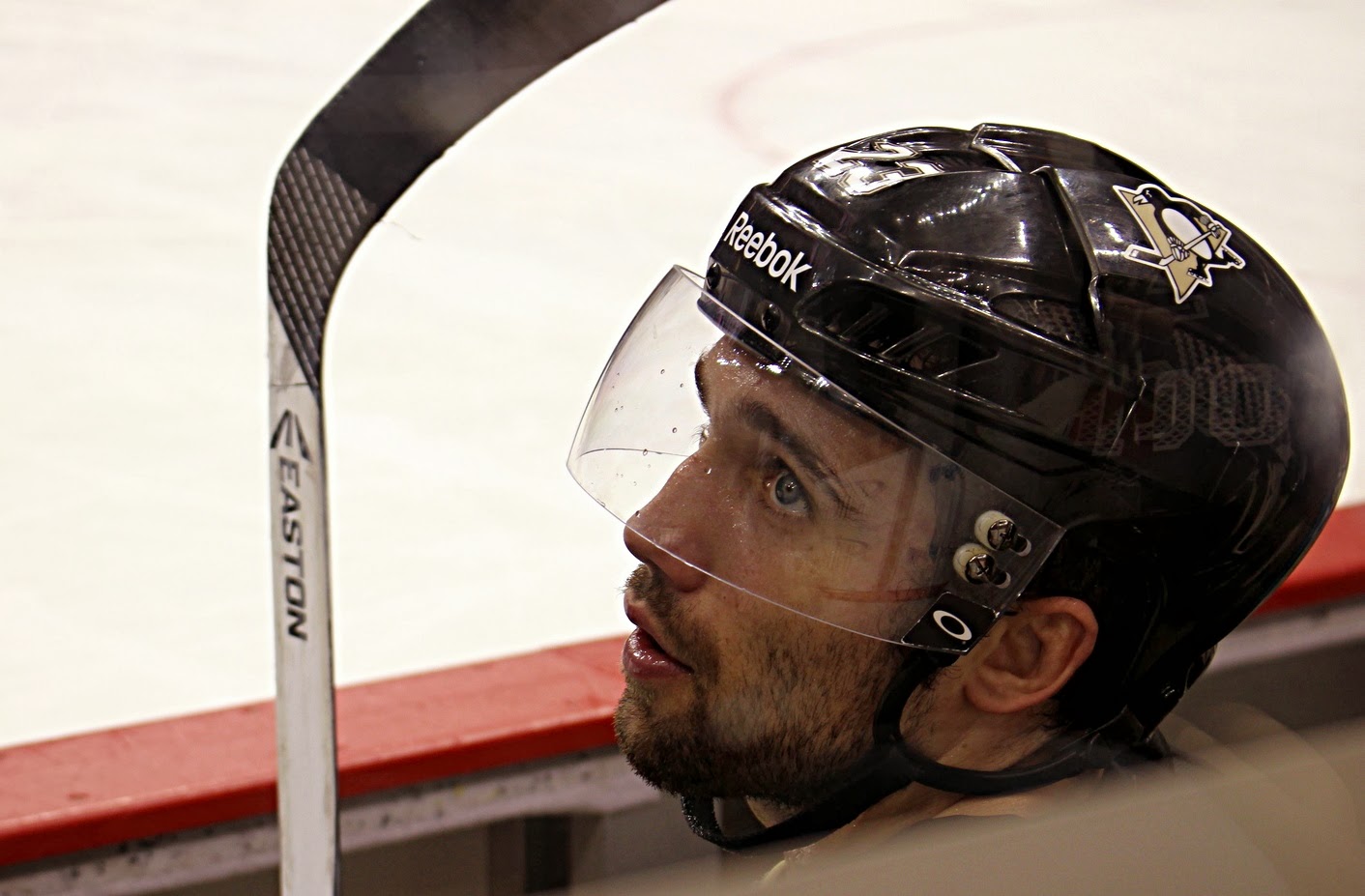 Pens Through My Lens: Pens vs Flames, December 21, 2013