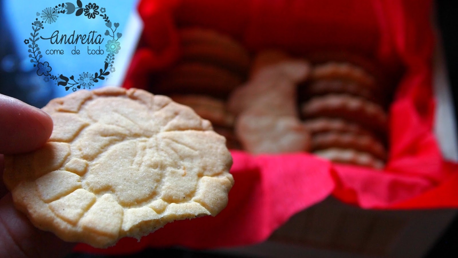 Galletas de vainilla con relieve ~ Andreíta come de todo