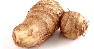 MASTER PURING: Talas Jepang SATOIMO untuk Awet Muda dan atasi Masalah Sendi