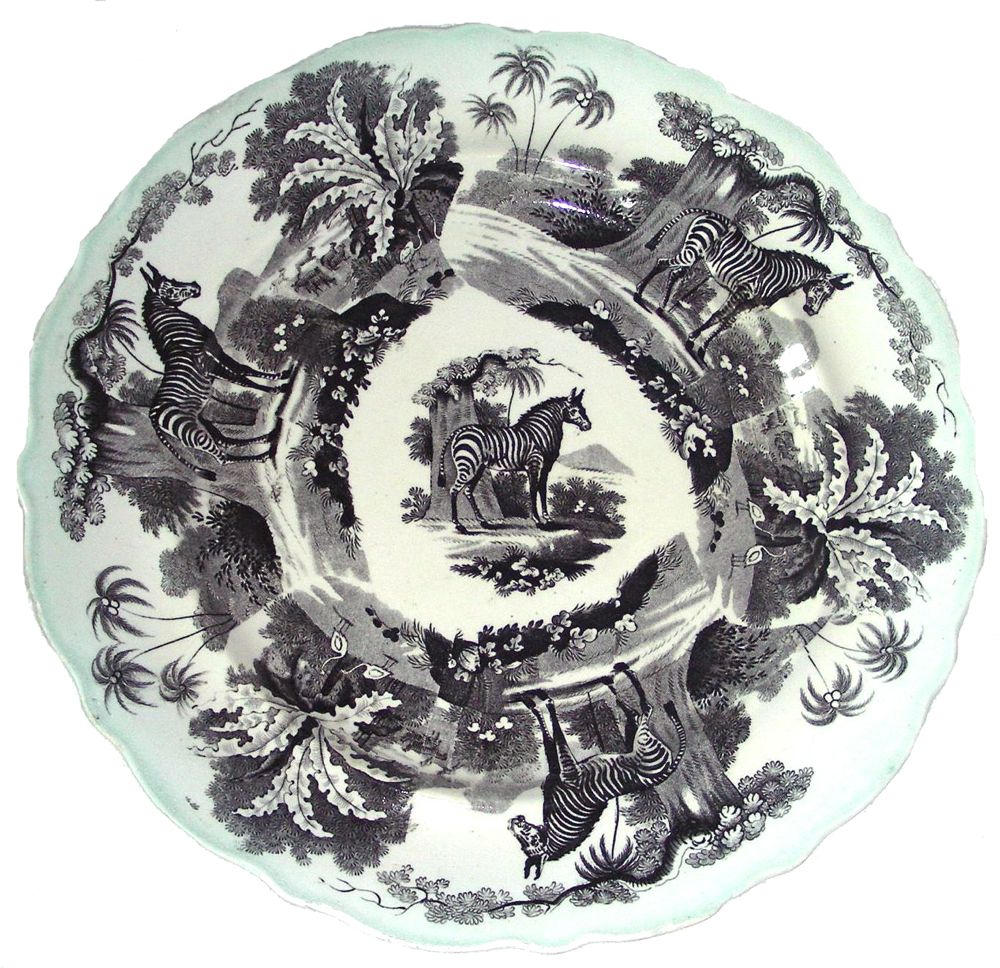 Dishy News - A Transferware Blog: TRANSFERWARE ZEBRAS AND THEIR SOURCE ...