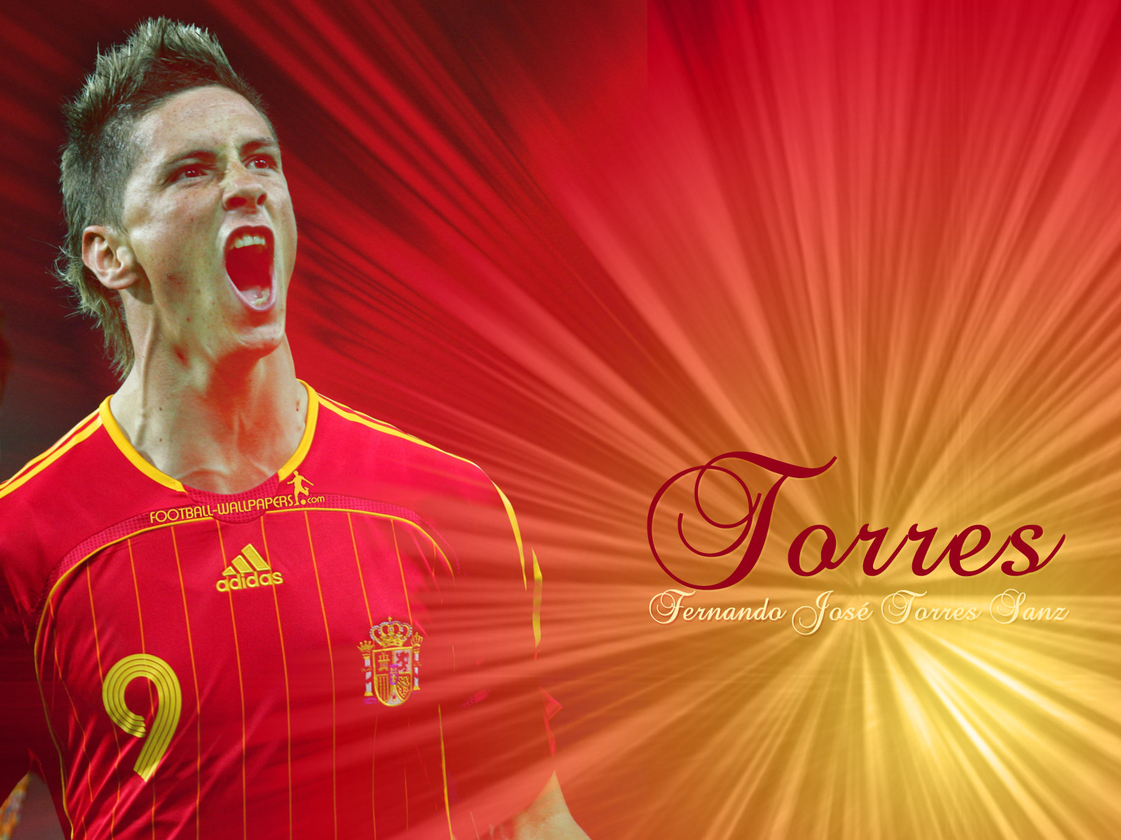 All About Sports: Fernando Torres
