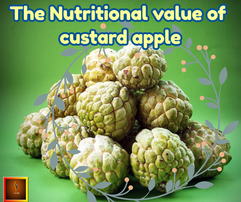 The Nutritional Value Of Custard Apple For A Good Health the-nutritional-value-of-custard-apple-for-a-good-health