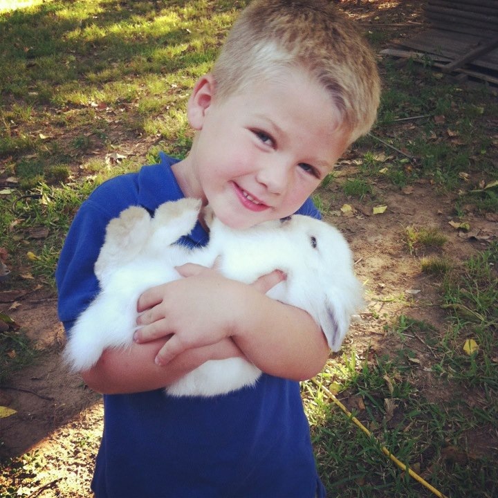 SheWoodTime...: George the rabbit...