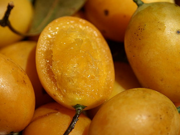 Flora Identitas di seluruh Provinsi Indonesia - Tentang Provinsi