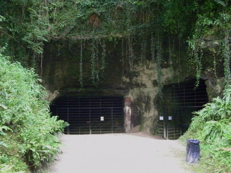 JSBlog - Journal of a Southern Bookreader: Beer Quarry Caves