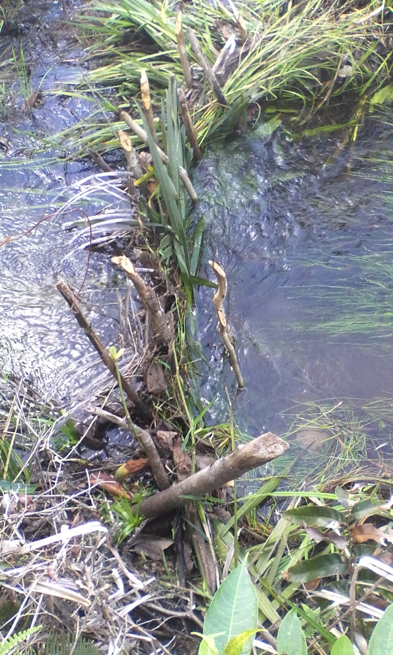Macam-macam alat menangkap ikan tradisional ~Bubu,Tekalak,Serua,Tangguk ...