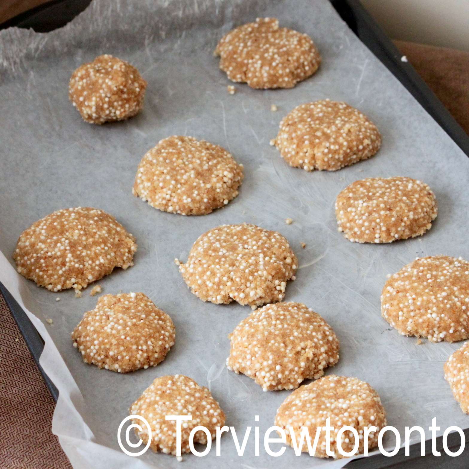 Torviewtoronto: Sago coconut cookies