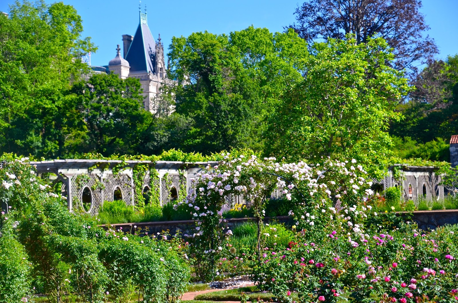 Return to the Biltmore Rose Garden | The Dirt Diaries